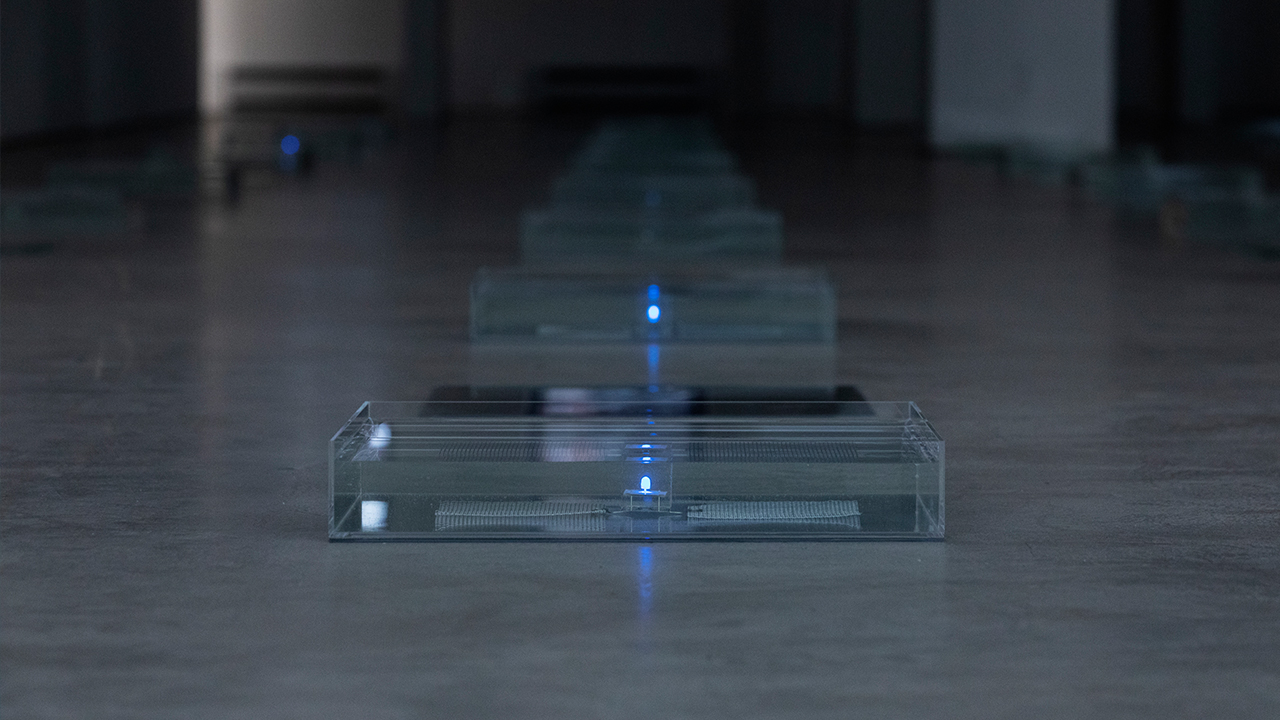 video-exhibition | tripoddesign